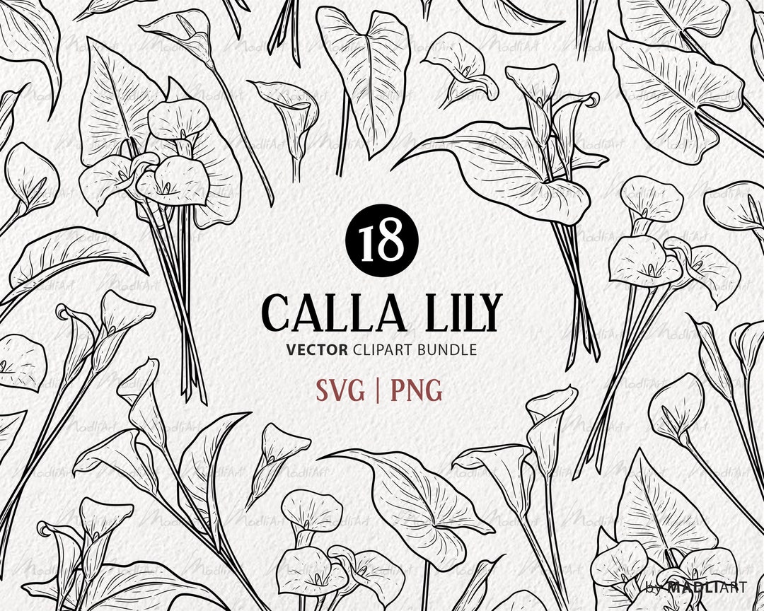18 Calla Lily SVG Clipart Bundle. Spring Flower Vector Drawings ...