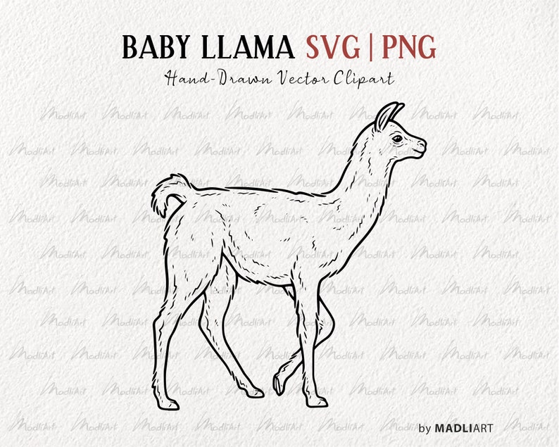 Baby Llama SVG Clipart. Alpaca SVG Line Drawing. Llama Vector Drawing ...