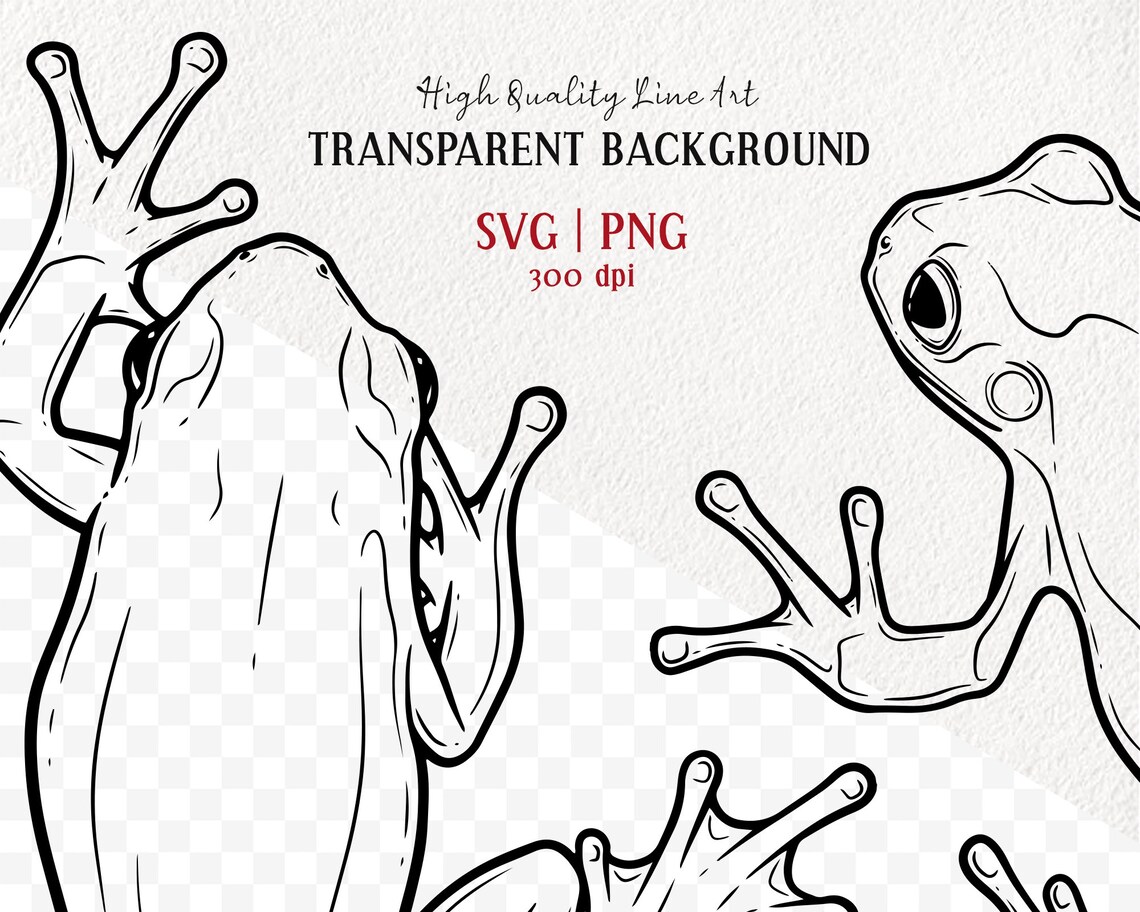 6 Tree Frogs SVG Clipart Bundle. Frog Vector Drawings. Green, White and ...