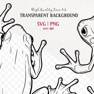 6 Tree Frogs SVG Clipart Bundle. Frog Vector Drawings. Green, White and ...