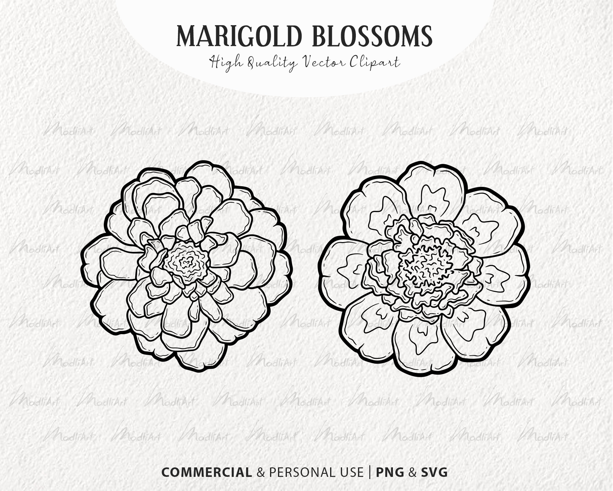 Marigold Flower SVG Clipart Set. Spring Blossoms. Flower - Etsy Australia