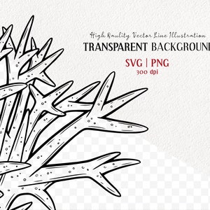Coral SVG Clipart. Coral Vector Line Art. Coral Reef Illustration ...