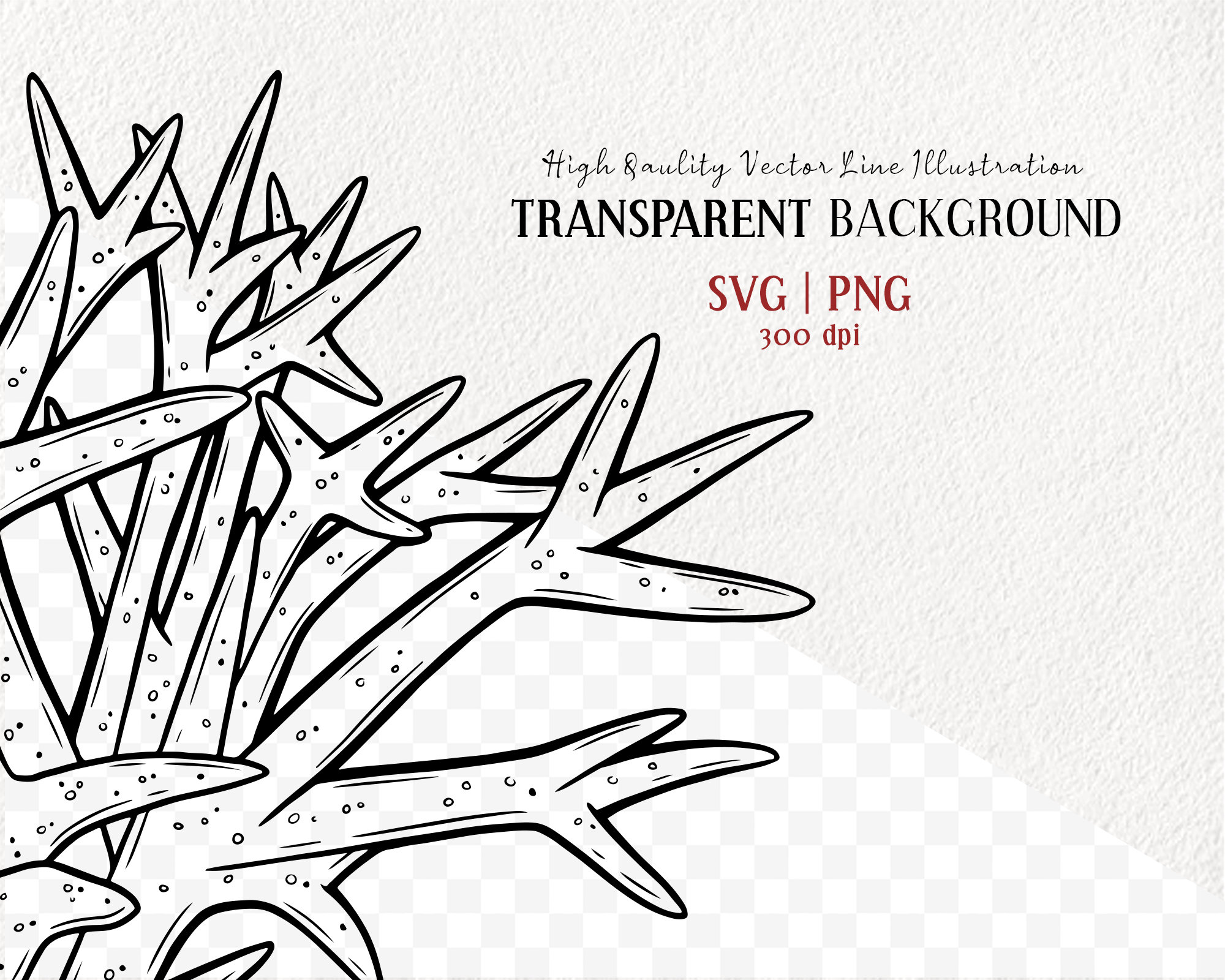 Coral SVG Clipart. Coral Vector Line Art. Coral Reef Illustration ...