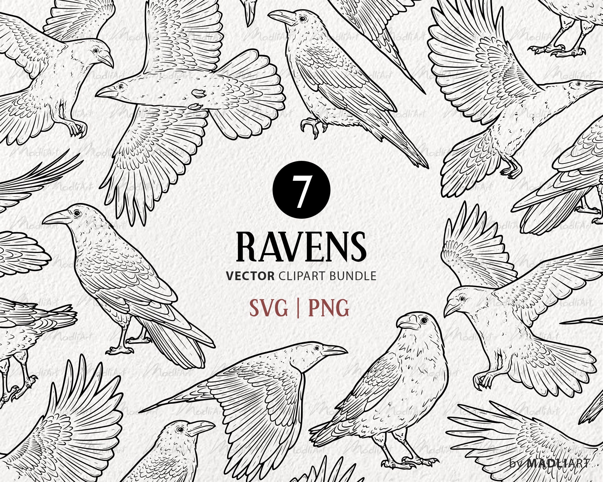 7 Raven SVG Clipart Bundle. Crow Vector Line Drawings. Halloween Crow ...