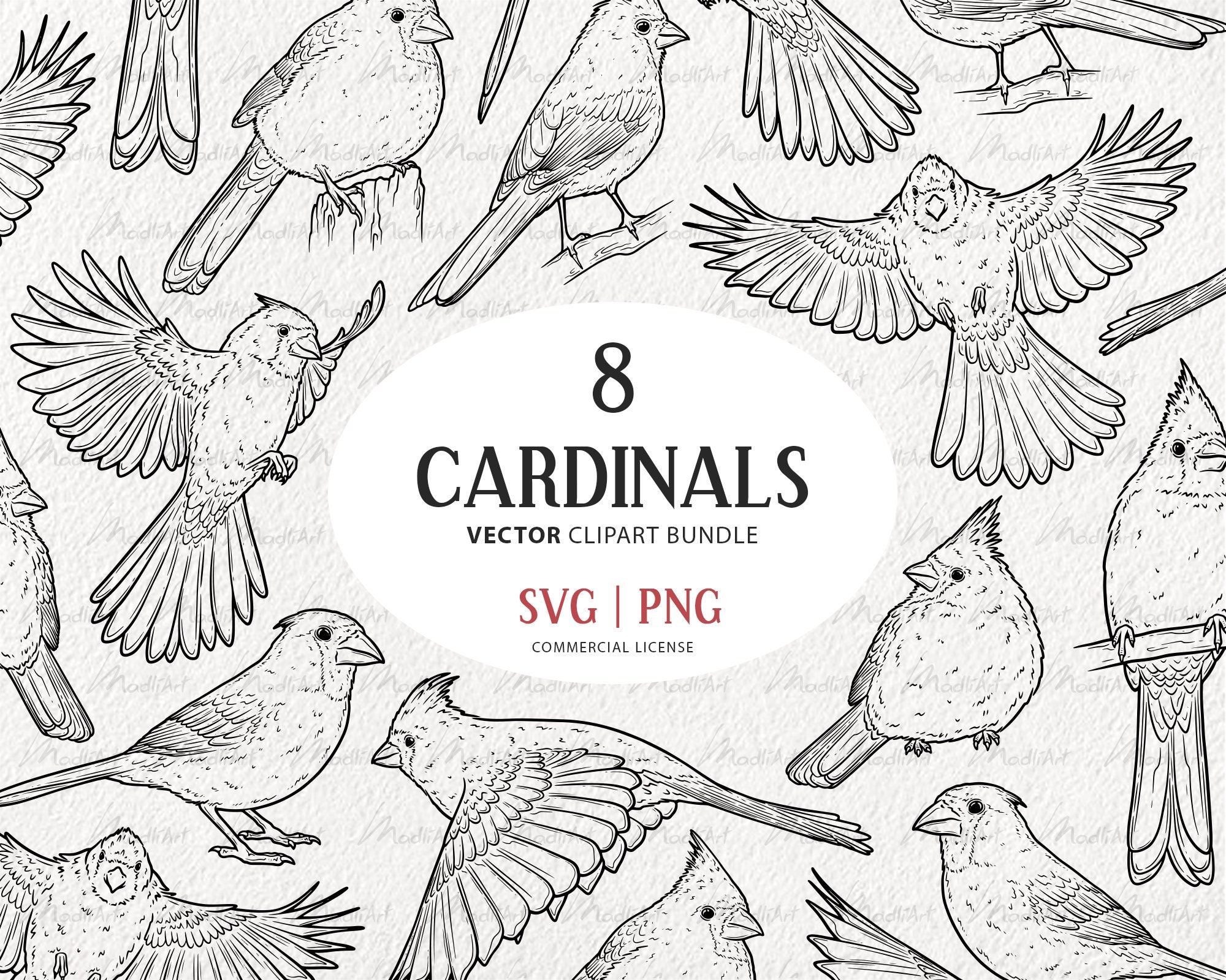 Cardinal Vector Clipart Bundle. Little Red Birds. Flying Birds - Etsy