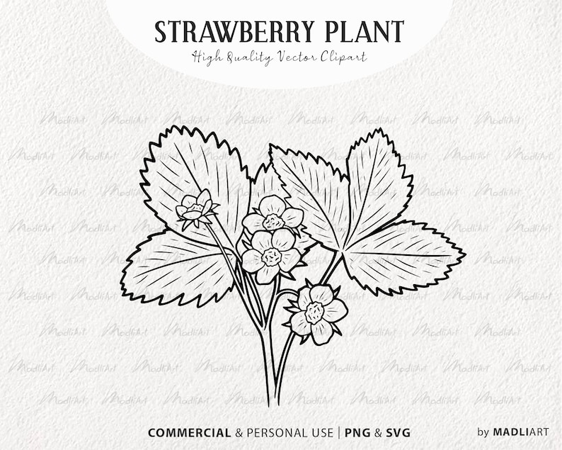 Strawberry SVG Clipart. Vector Strawberry Plant Outline. Strawberries ...