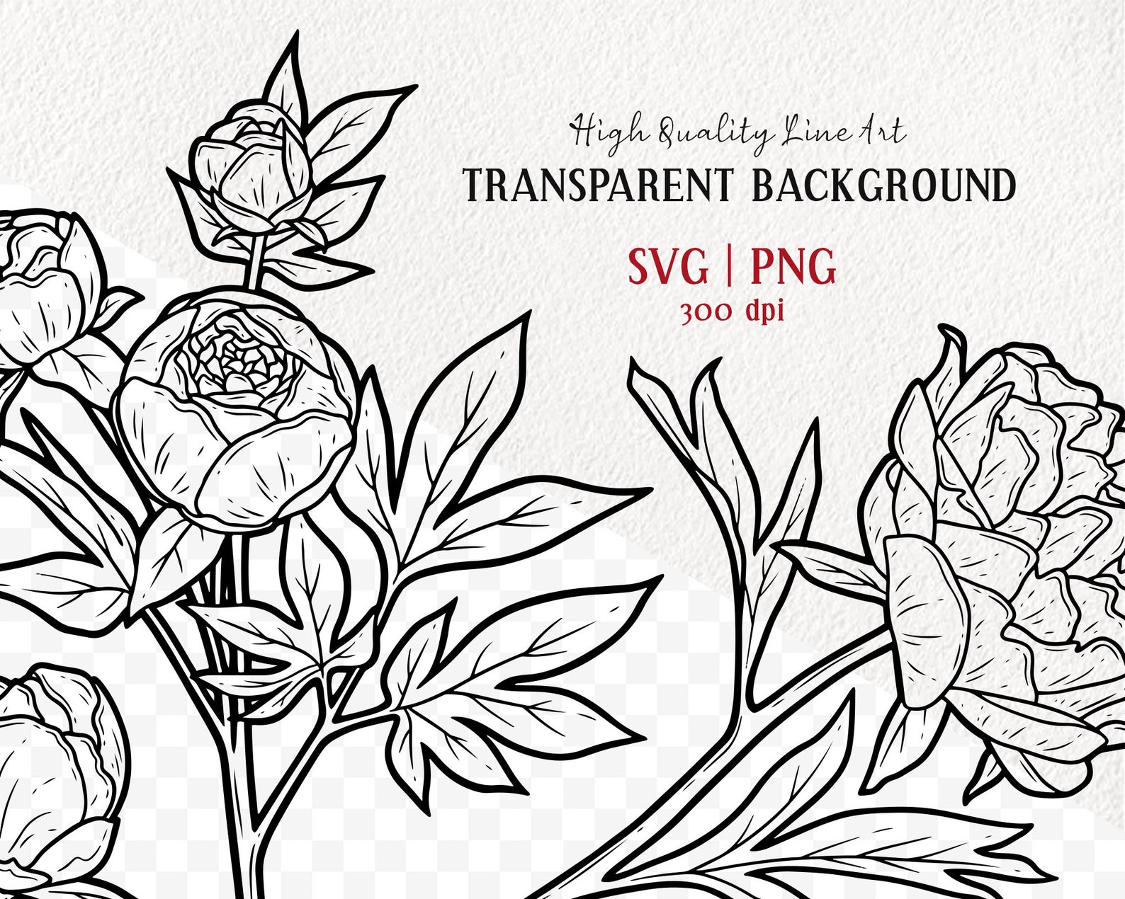 11 Peony Flower SVG Clipart Bundle. Spring Peony Blossoms. Flower ...