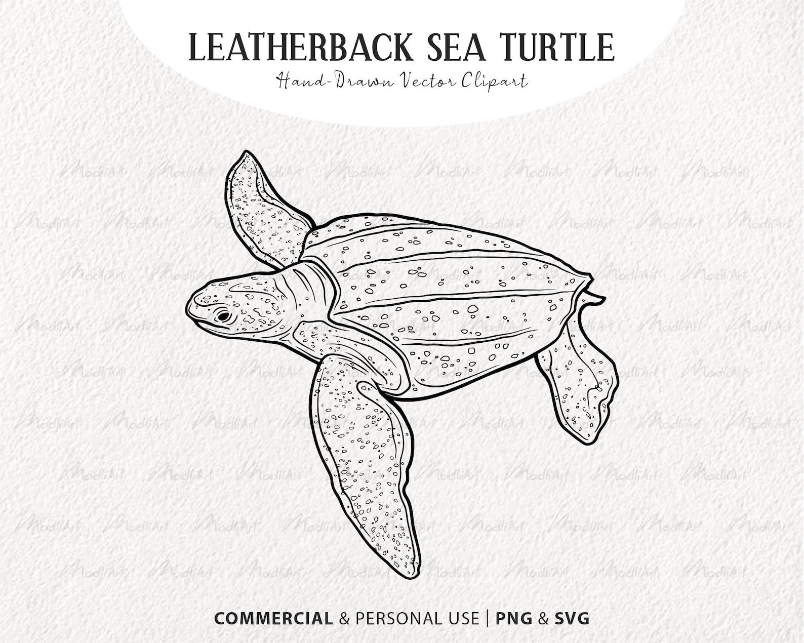 Leatherback Sea Turtle Vector Clip Art. Sea Animal Artwork ...
