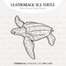 Leatherback Sea Turtle Vector Clip Art. Sea Animal Artwork ...