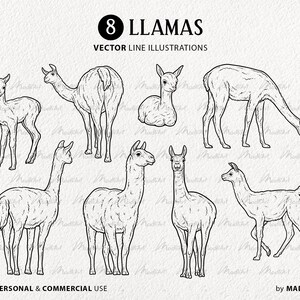 Llama SVG Clipart Bundle. Alpaca SVG Line Drawing. Llama Vector Drawing ...