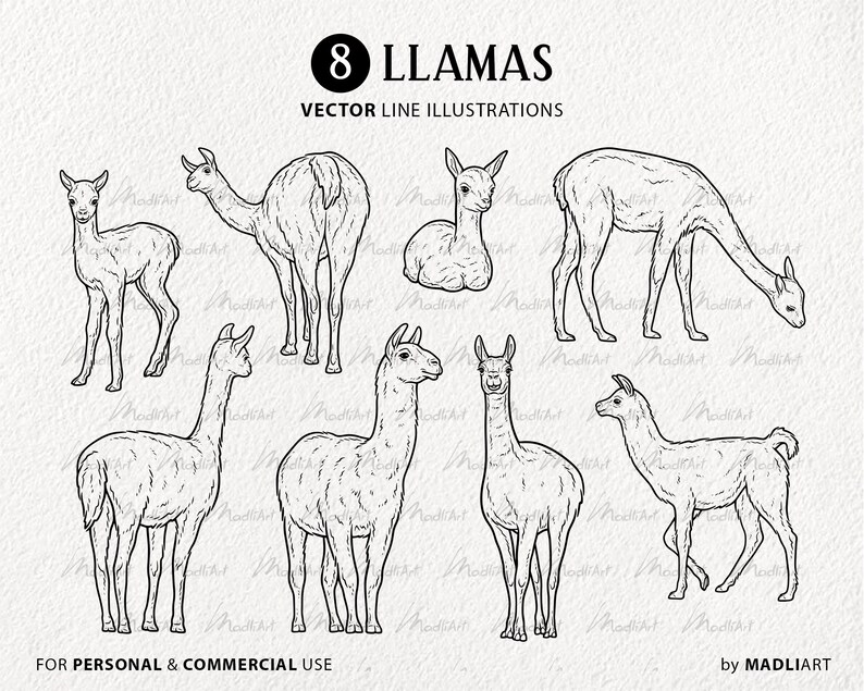 Llama SVG Clipart Bundle. Alpaca SVG Line Drawing. Llama Vector Drawing ...