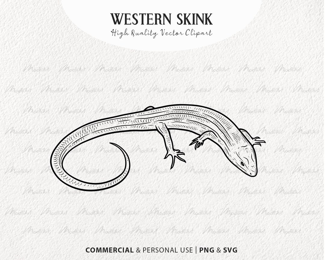 Western Skink SVG Clipart. Snake Like Lizard Vector Drawing. Blue ...