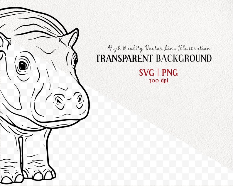 Baby Hippo SVG Clipart. Hippopotamus Vector Drawing. Hippo Line Art ...