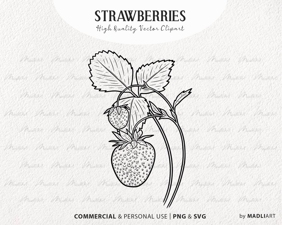 Strawberry SVG Clipart. Vector Strawberry Plant Outline. Strawberries ...