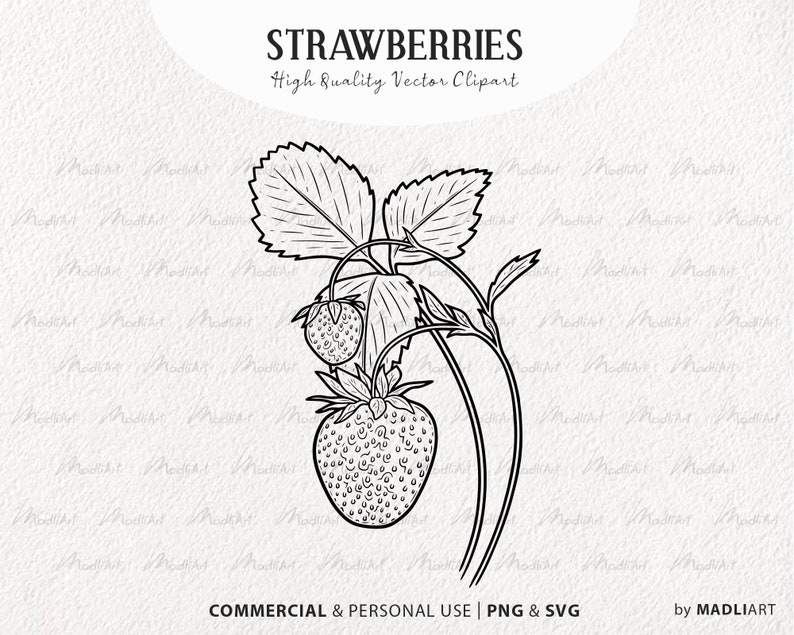 Strawberry SVG Clipart. Vector Strawberry Plant Outline. Strawberries ...