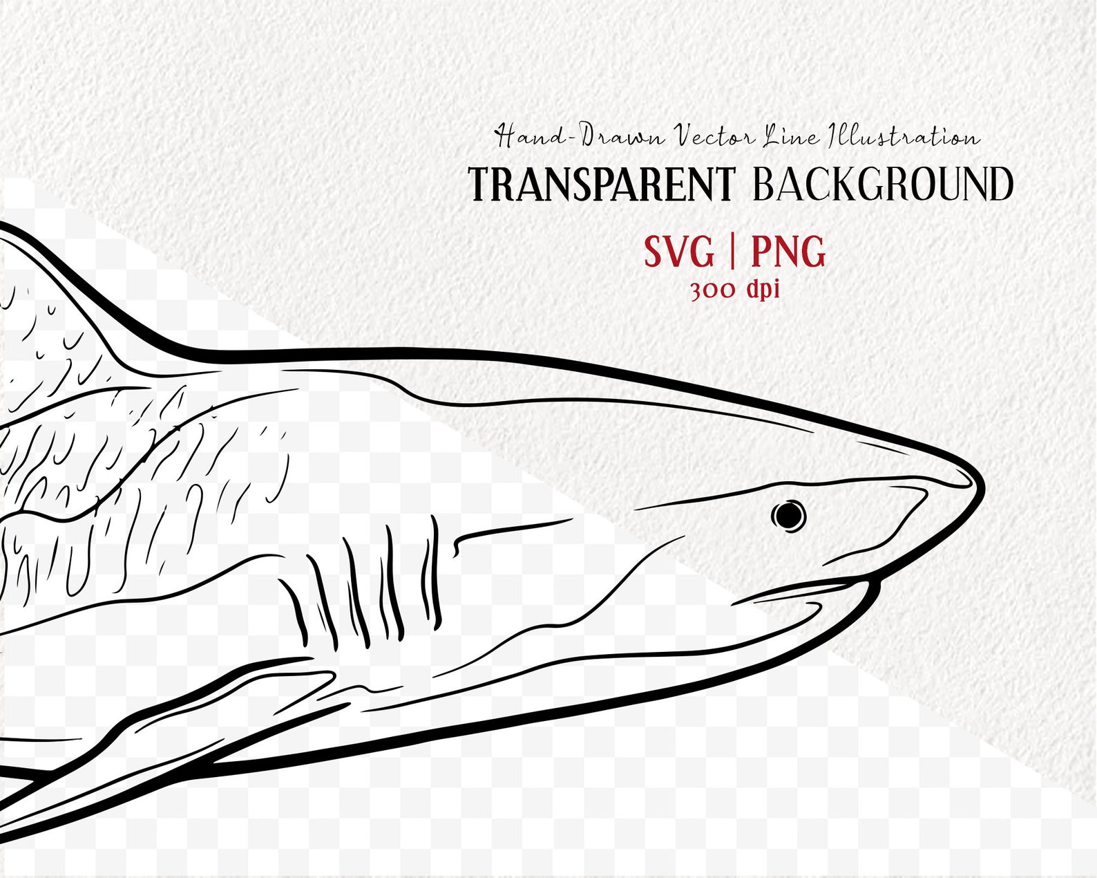 Tiger Shark Vector Clipart. Hand-drawn Shark Line Drawing. Ocean ...