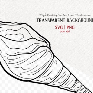 Seashell SVG Clipart. Ocean Themed Vector Line Drawing. Nautical Ocean ...