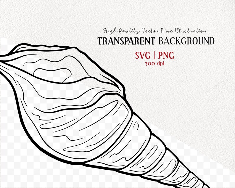 Seashell SVG Clipart. Ocean Themed Vector Line Drawing. - Etsy