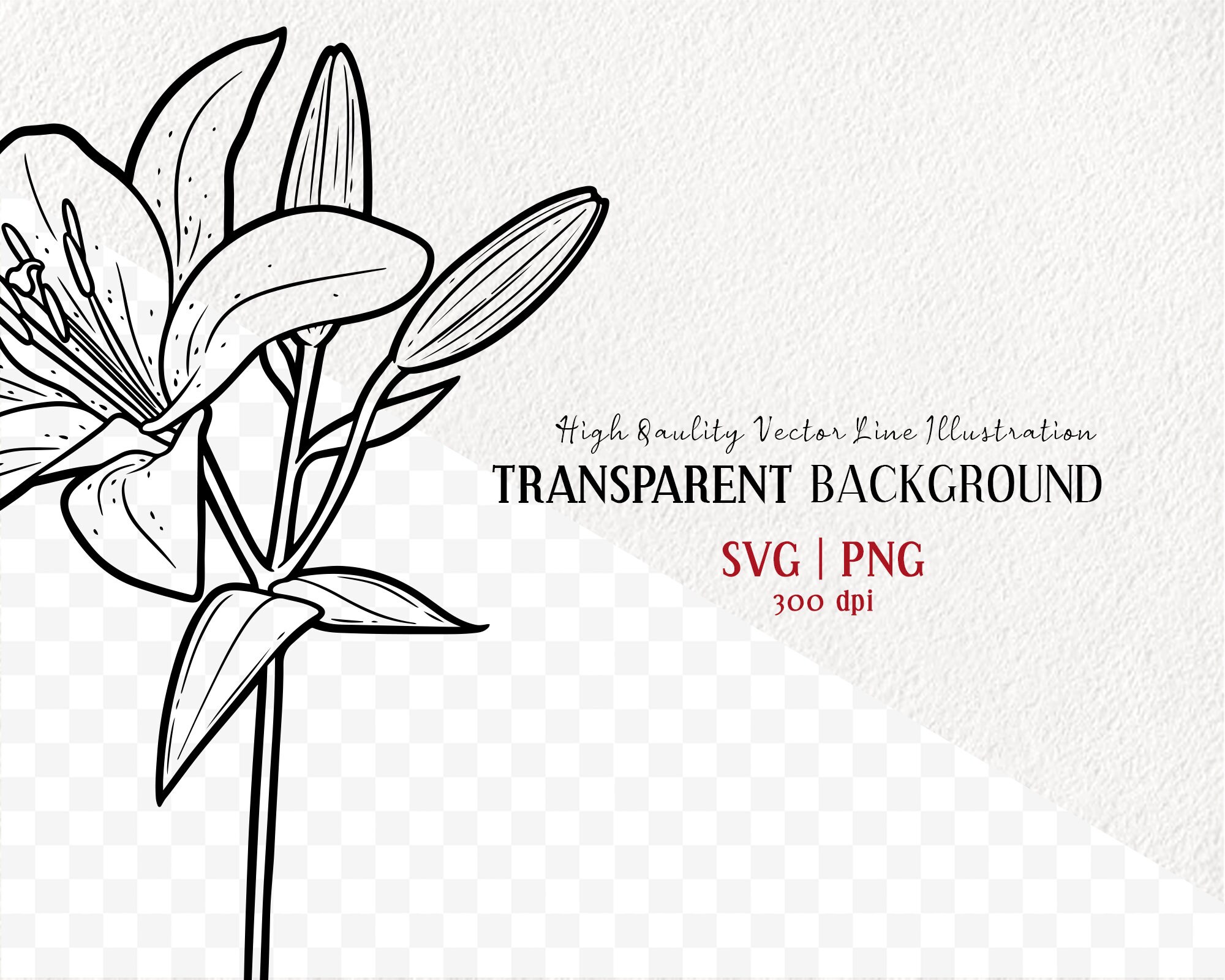 Lily Flower SVG Clipart. Tiger Lily Blossom. Flower Bouquet Line ...