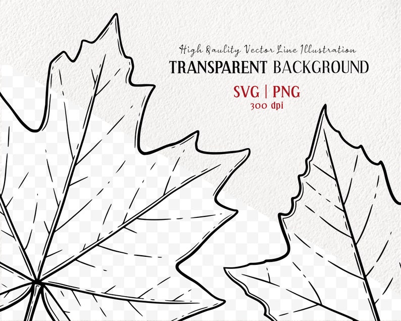Maple Leaves SVG Clipart Set. 2 Vector Fall Leaf Elements. Autumn Leaf ...