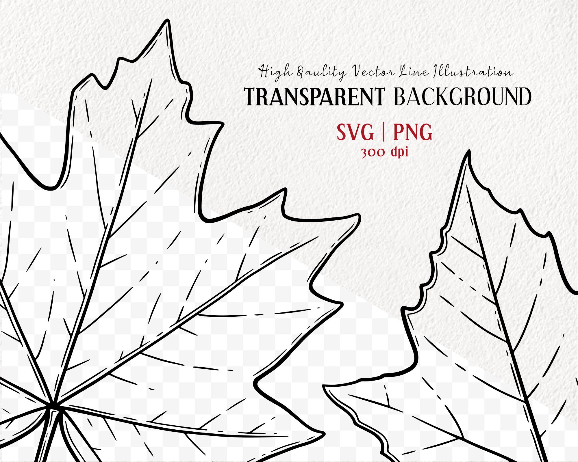 Maple Leaves SVG Clipart Set. 2 Vector Fall Leaf Elements. Autumn Leaf ...