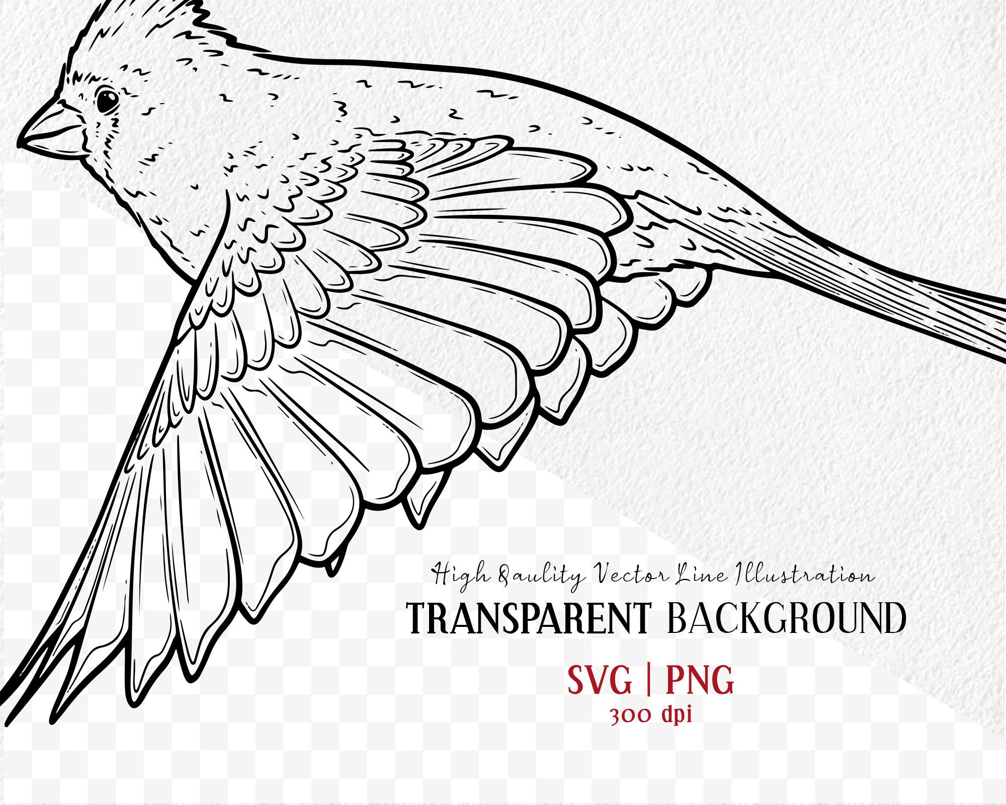 Cardinal Drawing Flying