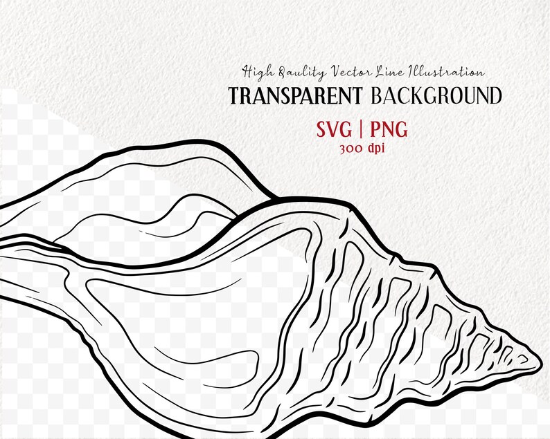 Seashell SVG Clipart. Ocean Themed Vector Line Drawing. - Etsy
