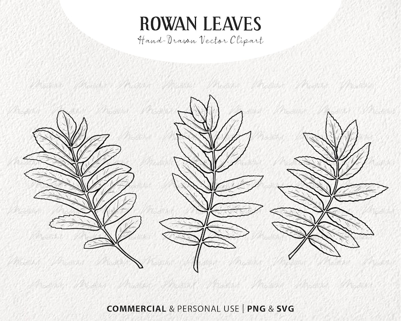 Rowan SVG Clipart Bundle. 4 Rowan Leaves Vector Elements. Fall Leaf ...