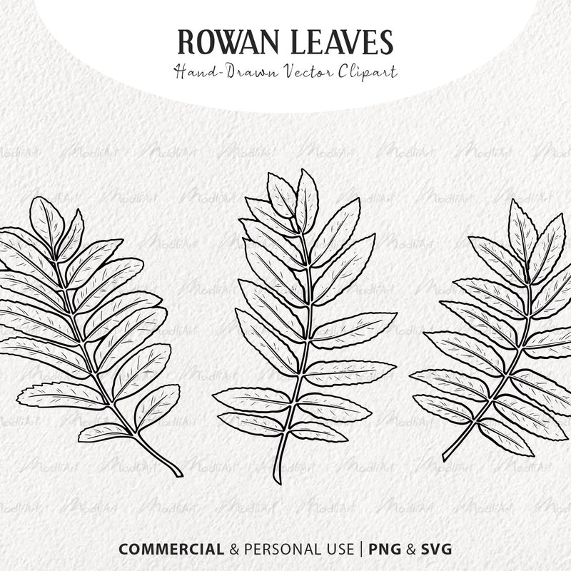 Rowan Tree on Canvas - Etsy UK