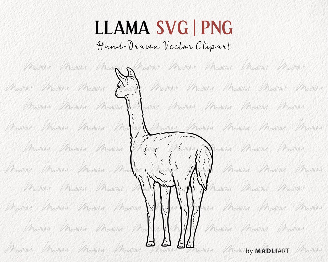 Llama SVG Clipart. Alpaca SVG Line Drawing. Llama Vector - Etsy