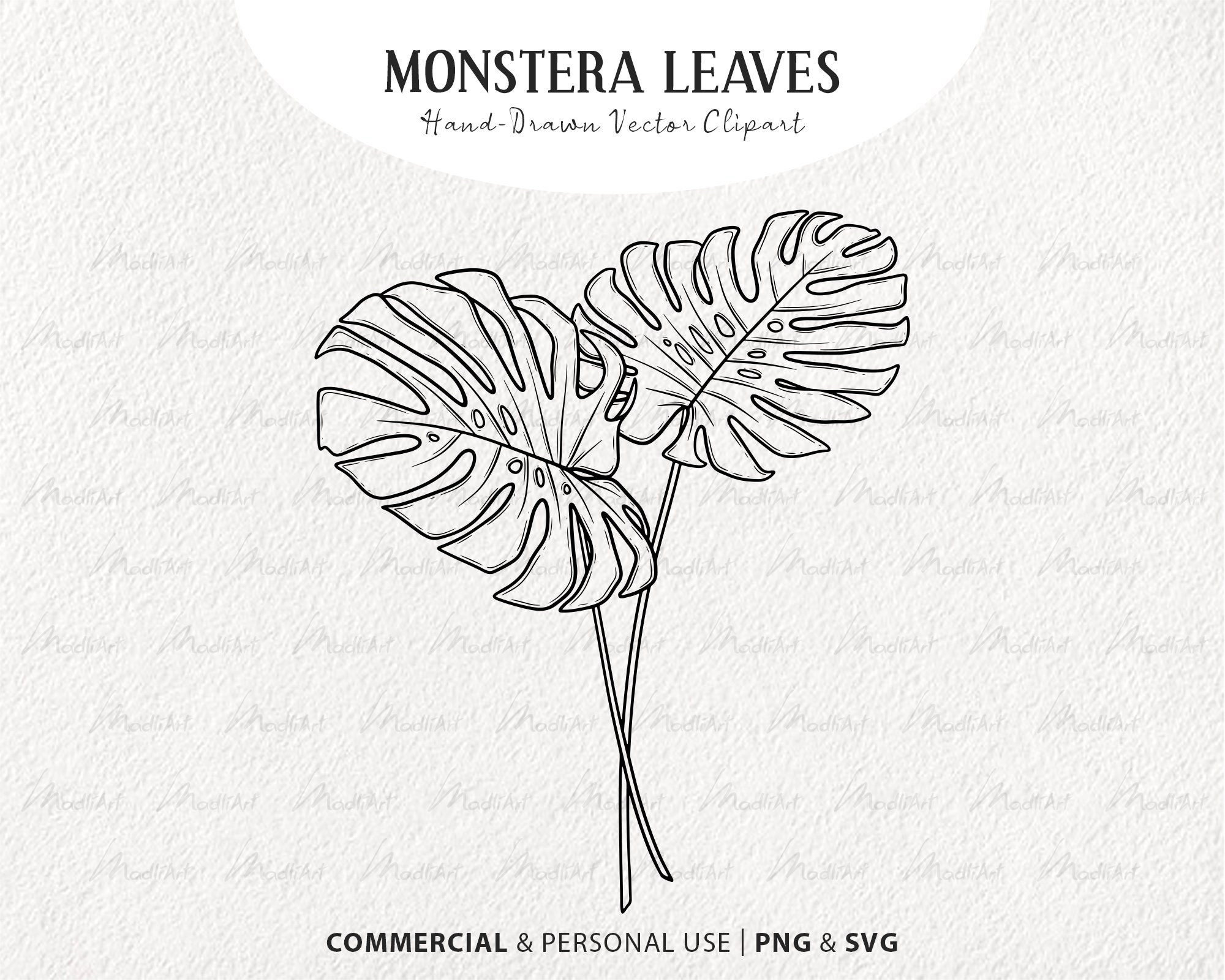 Monstera Leaf SVG Clipart. Tropical Leaf Line Art. Botanical - Etsy