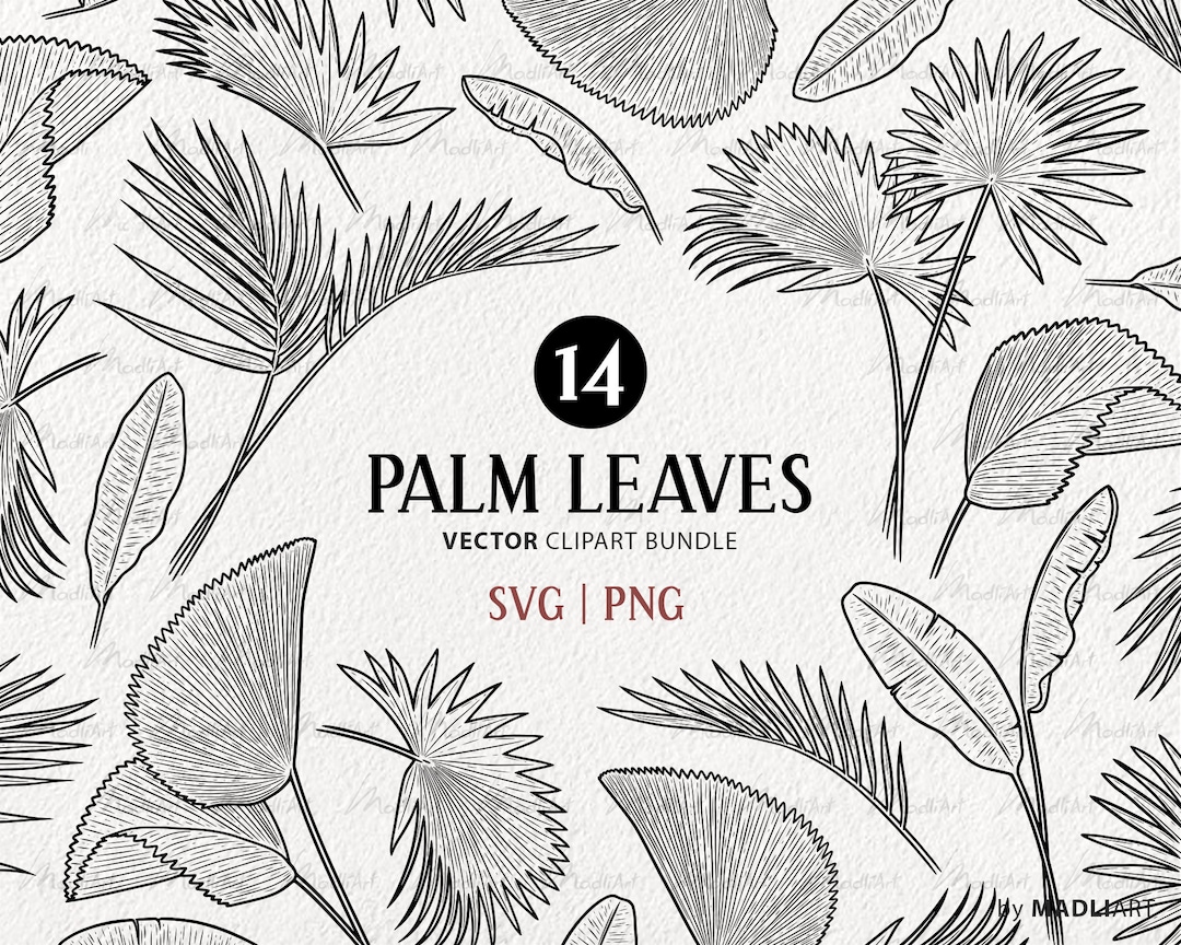 Palm Leaves SVG Clipart Bundle. 14 Vector Jungle Leaves. Tropical ...