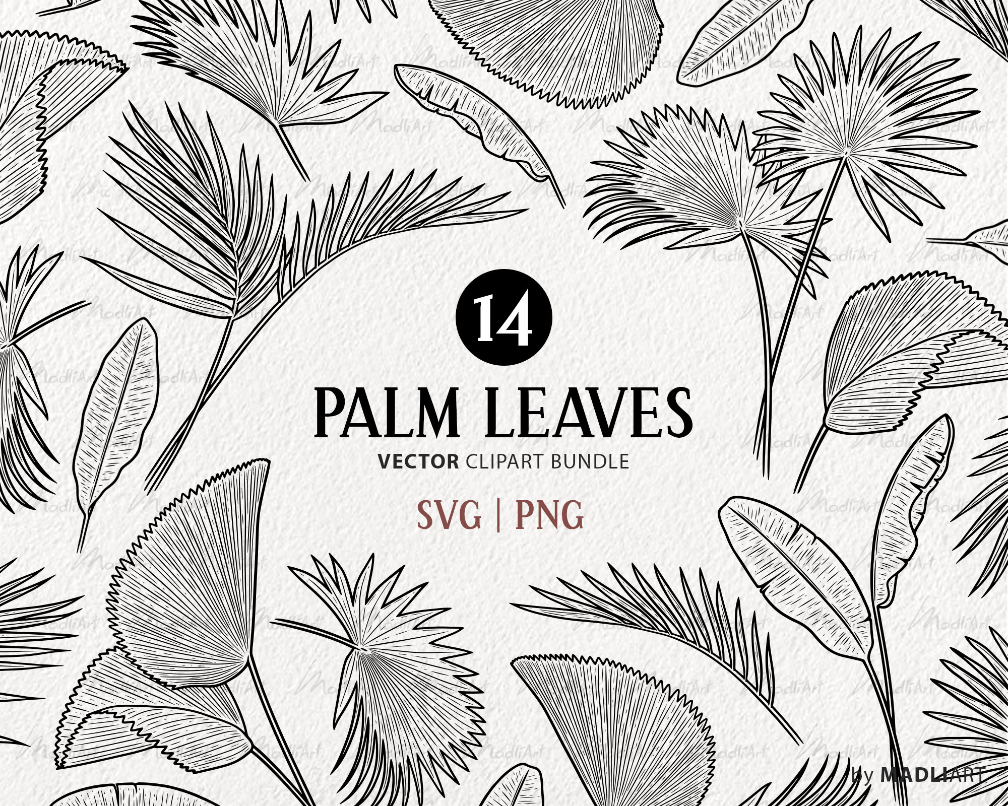 Palm Leaves SVG Clipart Bundle. 14 Vector Jungle Leaves. Tropical ...