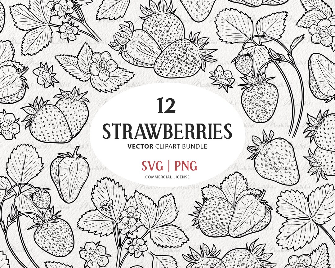 Strawberry SVG Clipart Bundle. 12 Vector Strawberries. - Etsy
