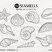Seashell SVG Clipart Bundle. 10 Ocean Themed Vector Line Drawings ...