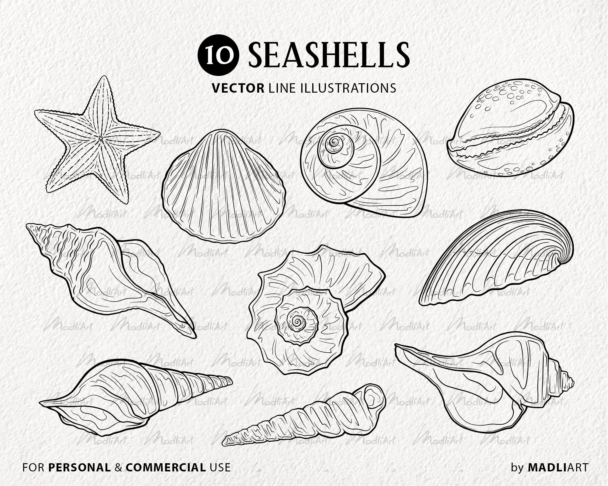 Seashell SVG Clipart Bundle. 10 Ocean Themed Vector Line Drawings ...