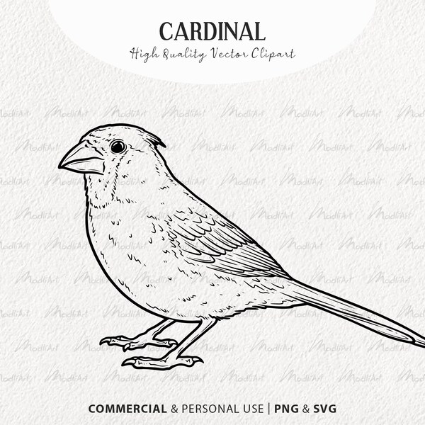 Cardinal Line Drawing Svg - Etsy