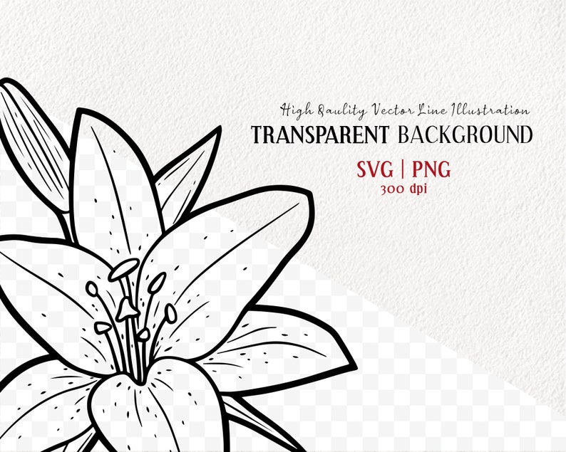 Lily Flower SVG Clipart. Tiger Lily Blossom. Flower Bouquet Line ...