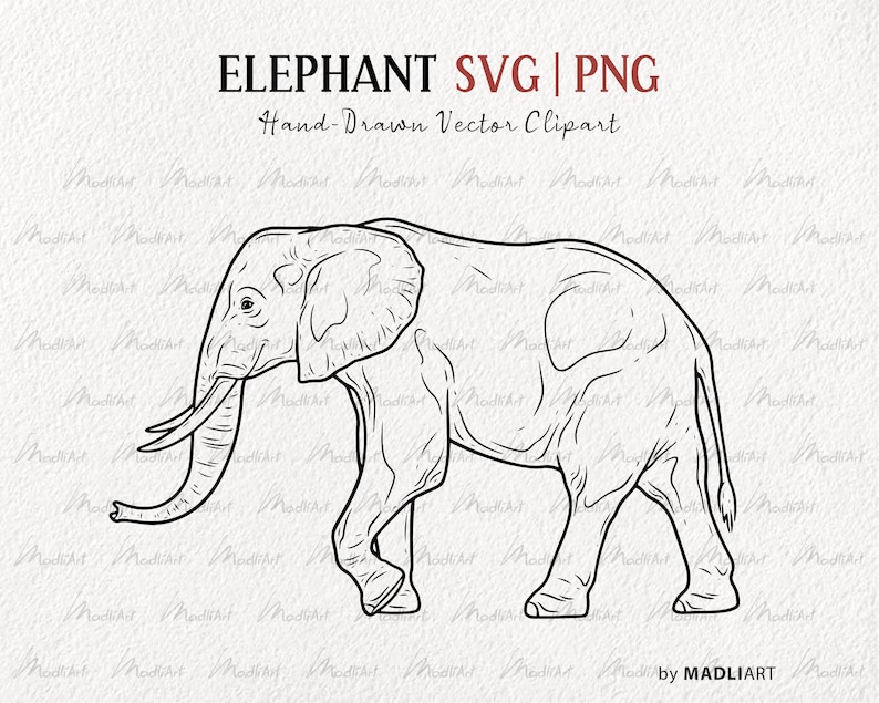 Elephant SVG Clipart. Elephant Vector Drawing. Safari Animal - Etsy