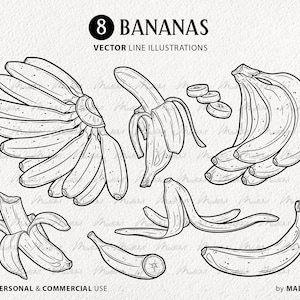 Banana SVG Clipart Bundle. 8 Vector Bananas. Banana Fruit Line Art ...