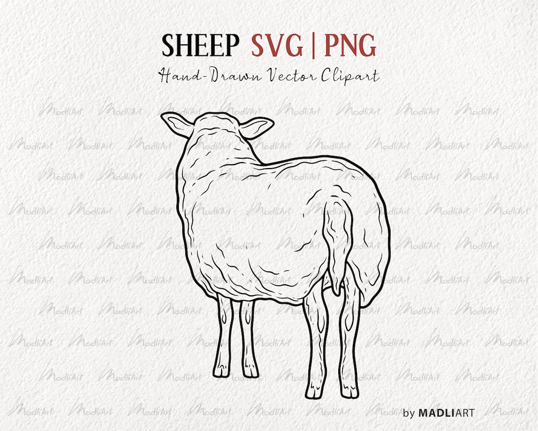 Sheep SVG Clipart. Sheep Vector Line Art. Farm Animal Drawing. Lamb ...