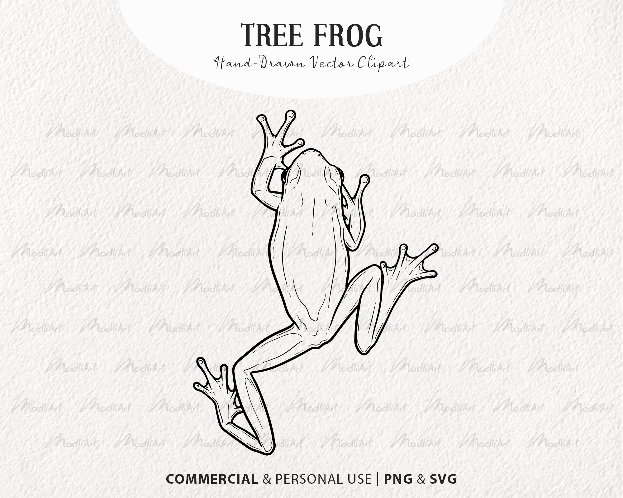 Tree Frog SVG Clipart. Frog Vector Drawing. Green, White and Red-eyed ...