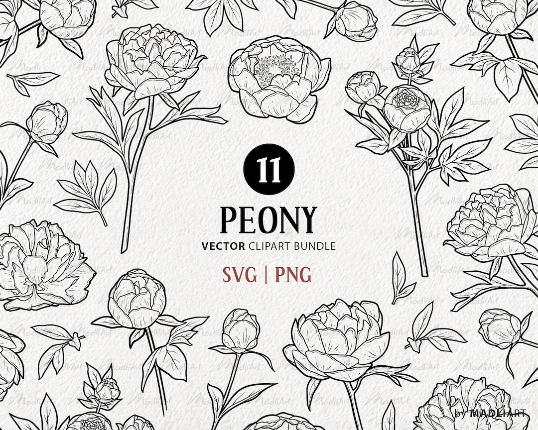11 Peony Flower SVG Clipart Bundle. Spring Peony Blossoms. Flower Bouquet Line Drawing. Rose ...