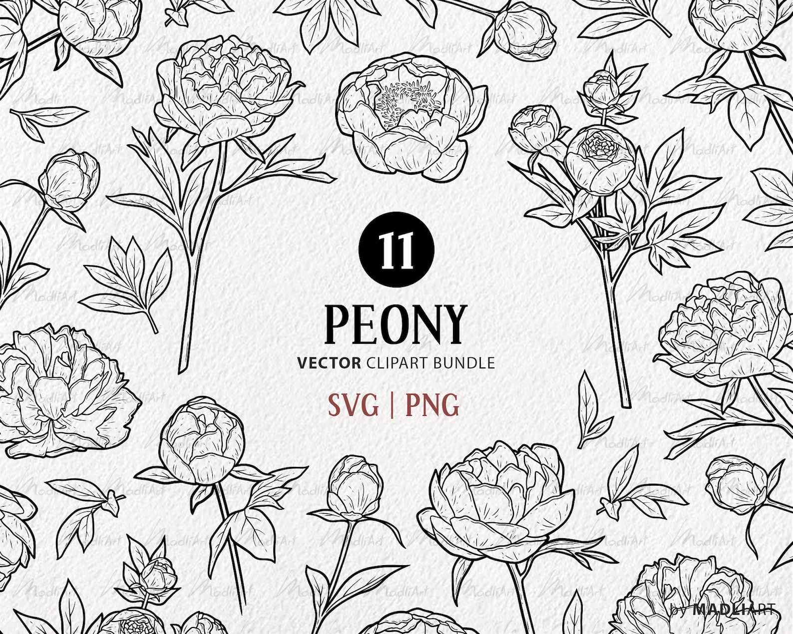11 Peony Flower SVG Clipart Bundle. Spring Peony Blossoms. Flower ...