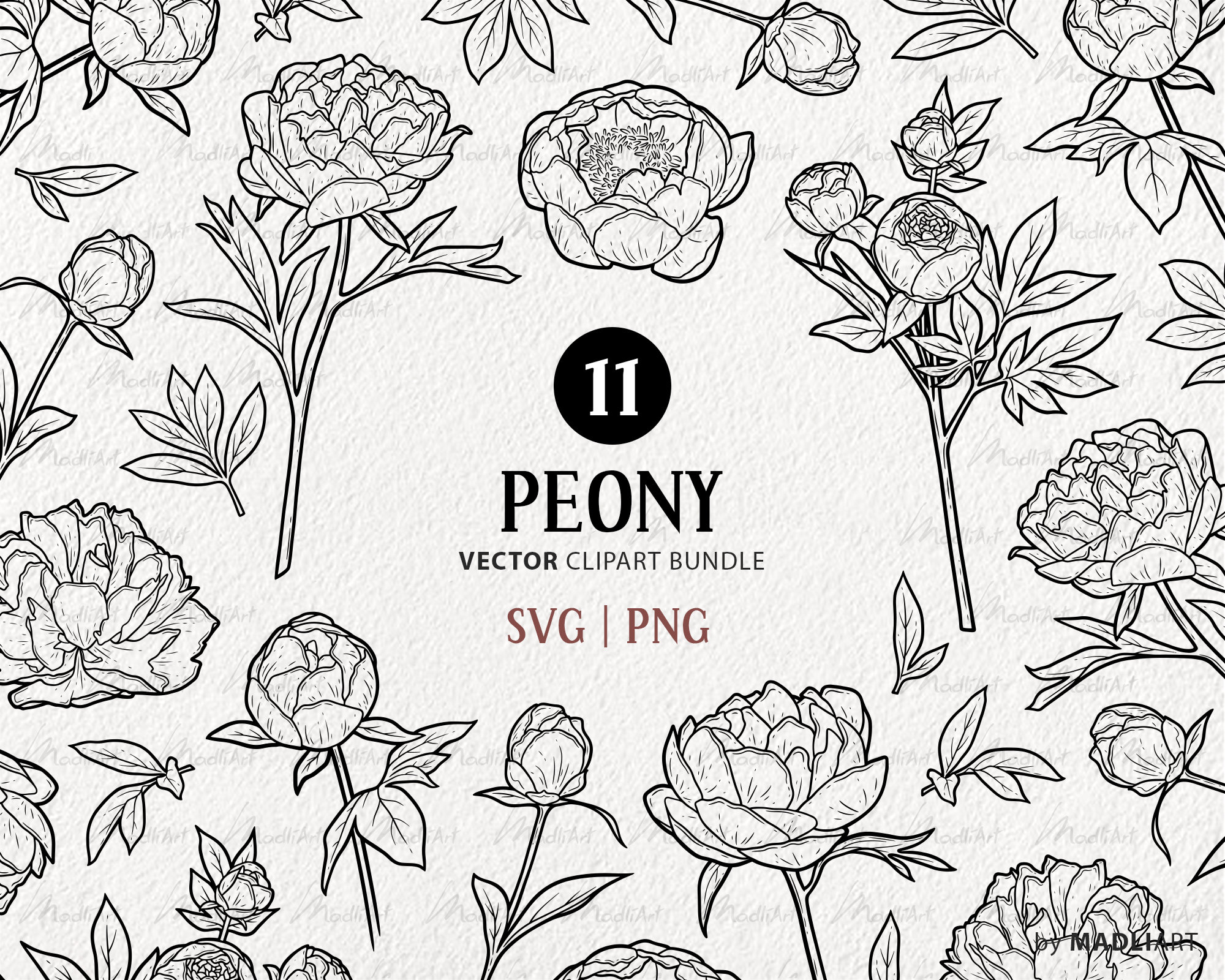 11 Peony Flower SVG Clipart Bundle. Spring Peony Blossoms. Flower ...
