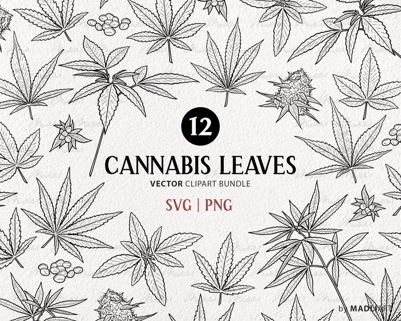 Cannabis Plant Clipart Bundle. 12 Vector Hemp Elements. Marijuana ...