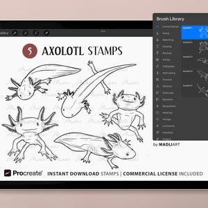 5 Procreate Axolotl Stamps. Axolotl Tattoo Design. Salamander Line Art ...