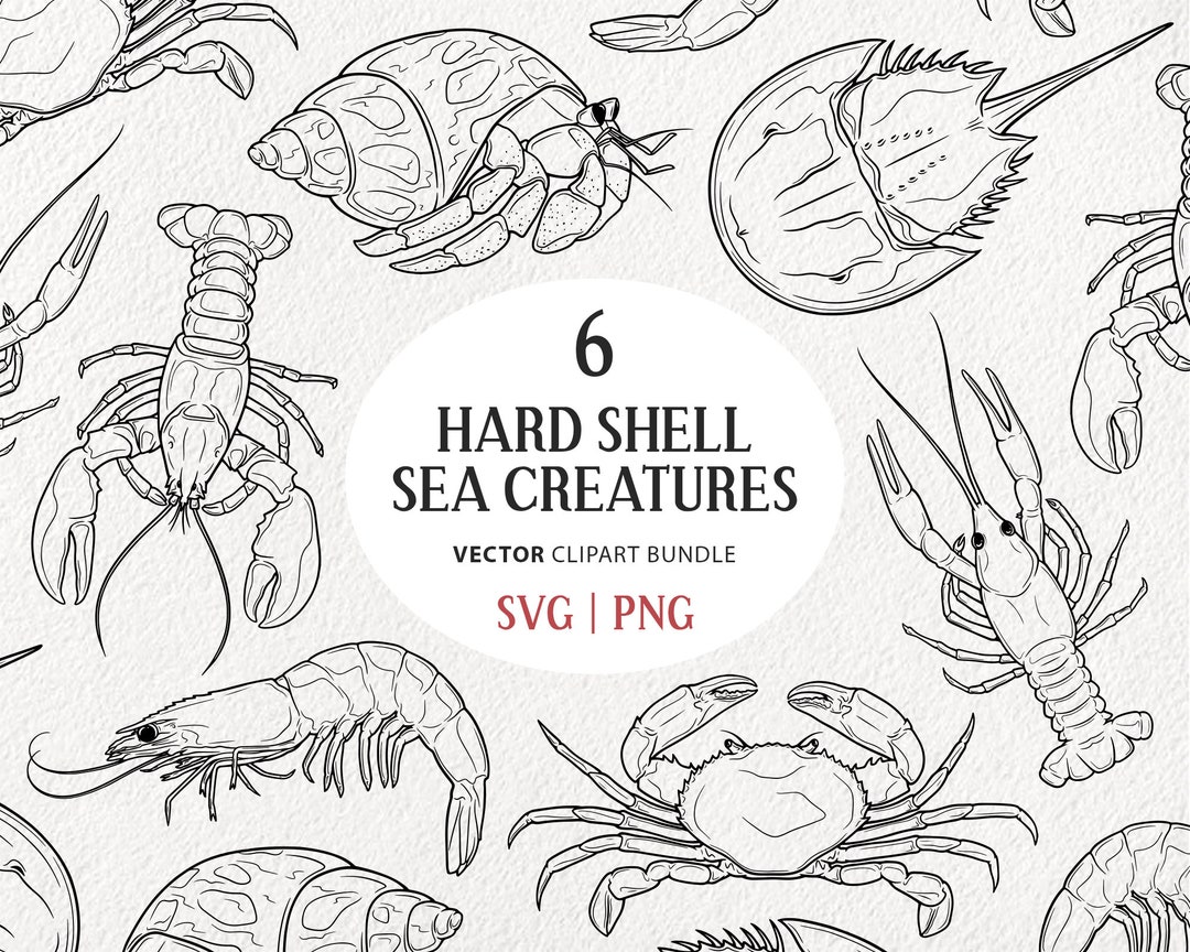 Hard Shell Sea Creatures Clipart Bundle. Marine Animals Vector - Etsy