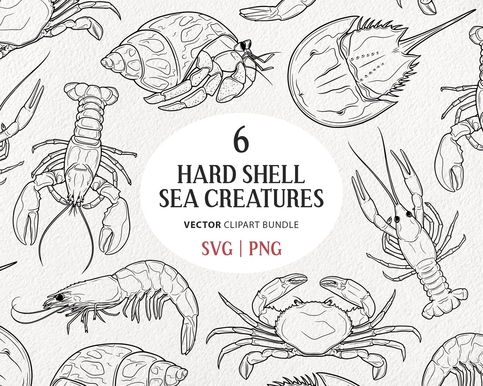 Hard Shell Sea Creatures Clipart Bundle. Marine Animals Vector - Etsy