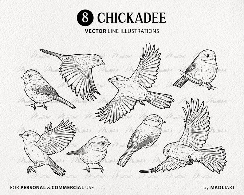 Chickadee SVG Clipart Bundle. Little Sparrow Vector Art. Winter Bird ...
